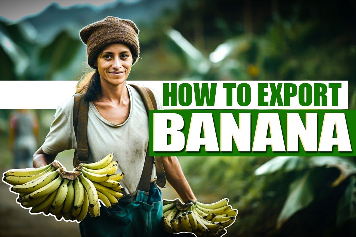 Basic Fundamentals of Export-Import Business – Global Fortune Academy